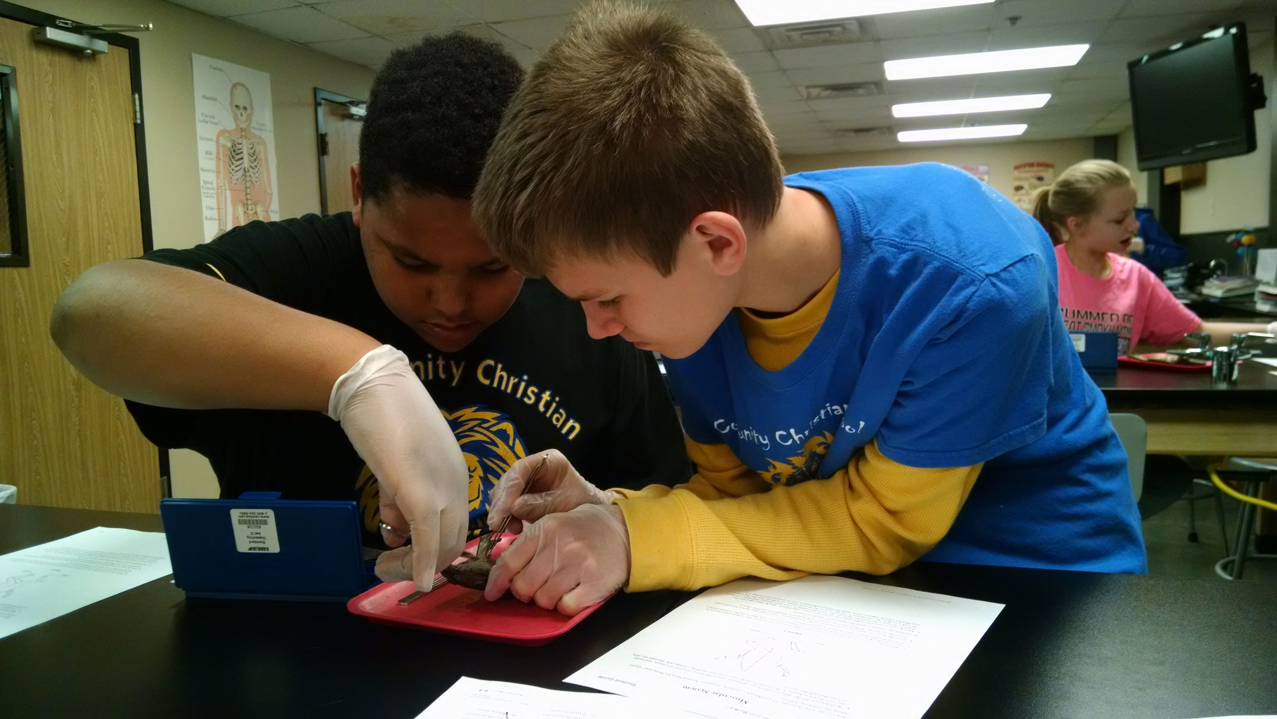 Hands on education - Orange Leader | Orange Leader