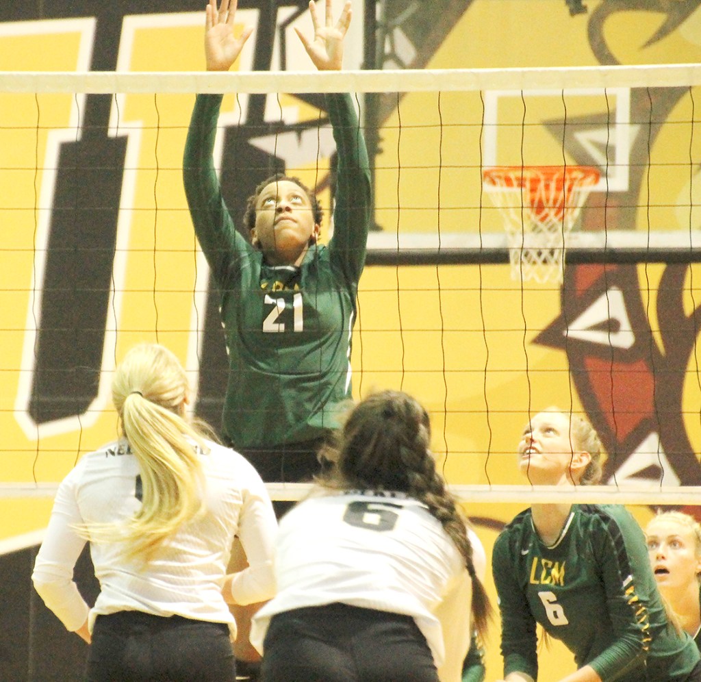 Lady Bears thwart Nederland for big road win - Orange Leader | Orange ...