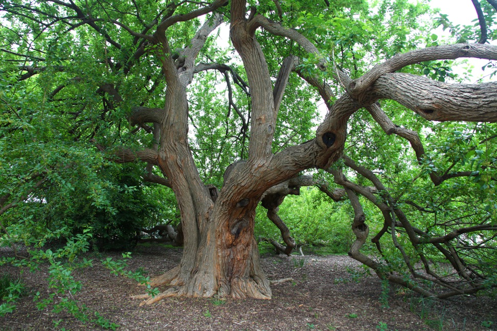 The Idle American: A most unusual day | Orange Leader