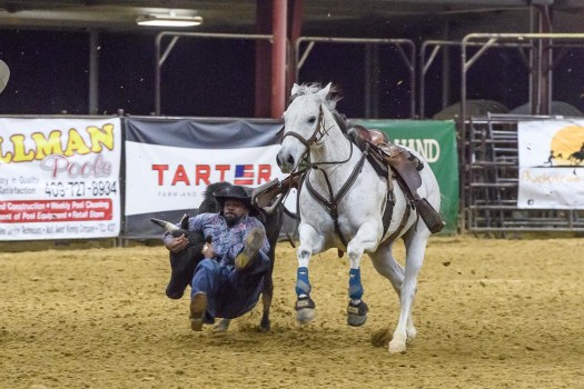 Strap on your spurs, it’s Pro Rodeo time - Orange Leader | Orange Leader