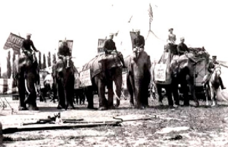 And now you know: The chase and demise of Floto | Orange Leader