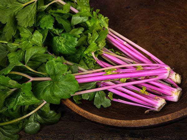 Unusual looking but tasty vegetables you should try | Orange Leader