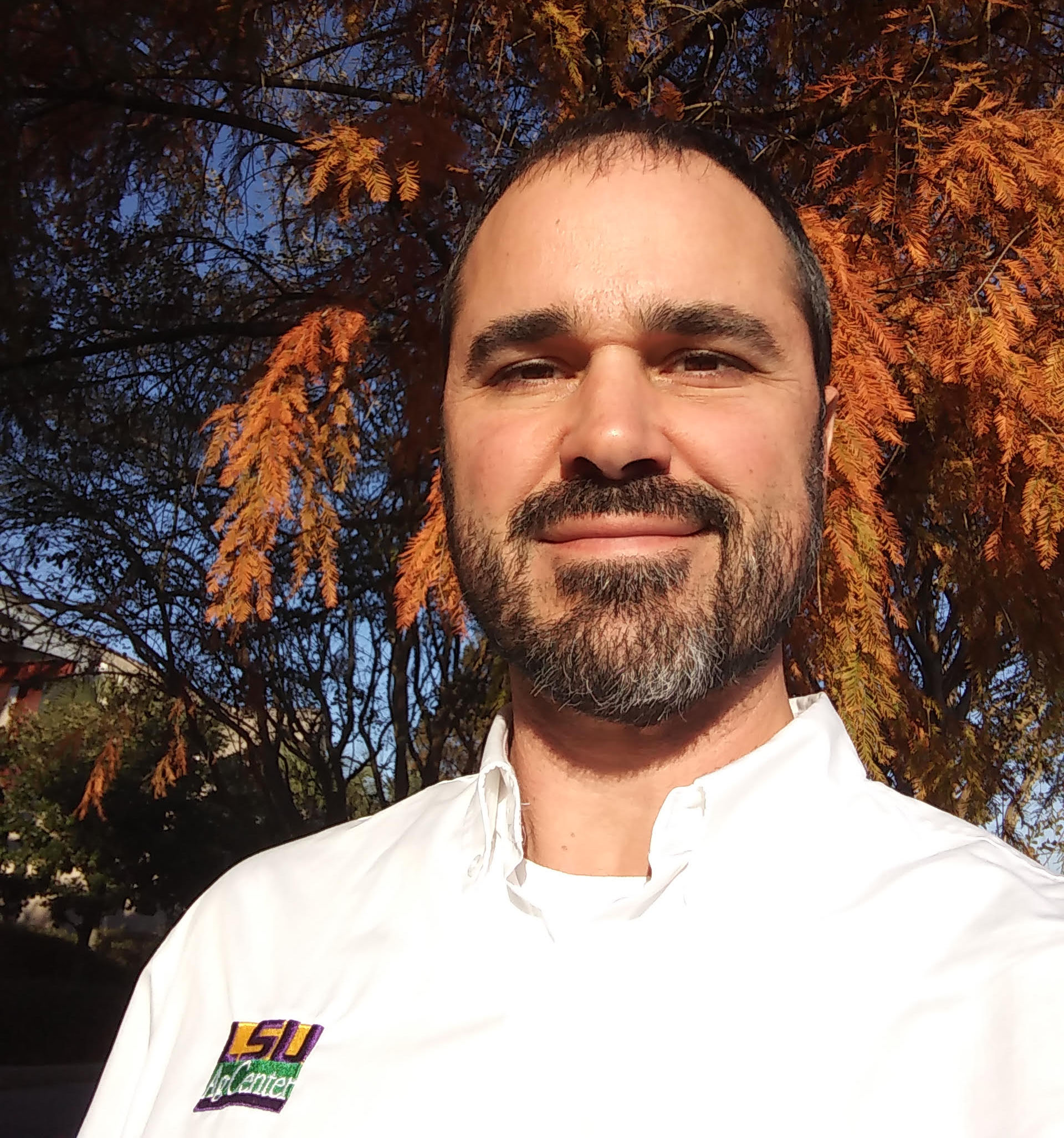 Ready, Set, Grow! Attracting hummingbirds with plants | Orange Leader