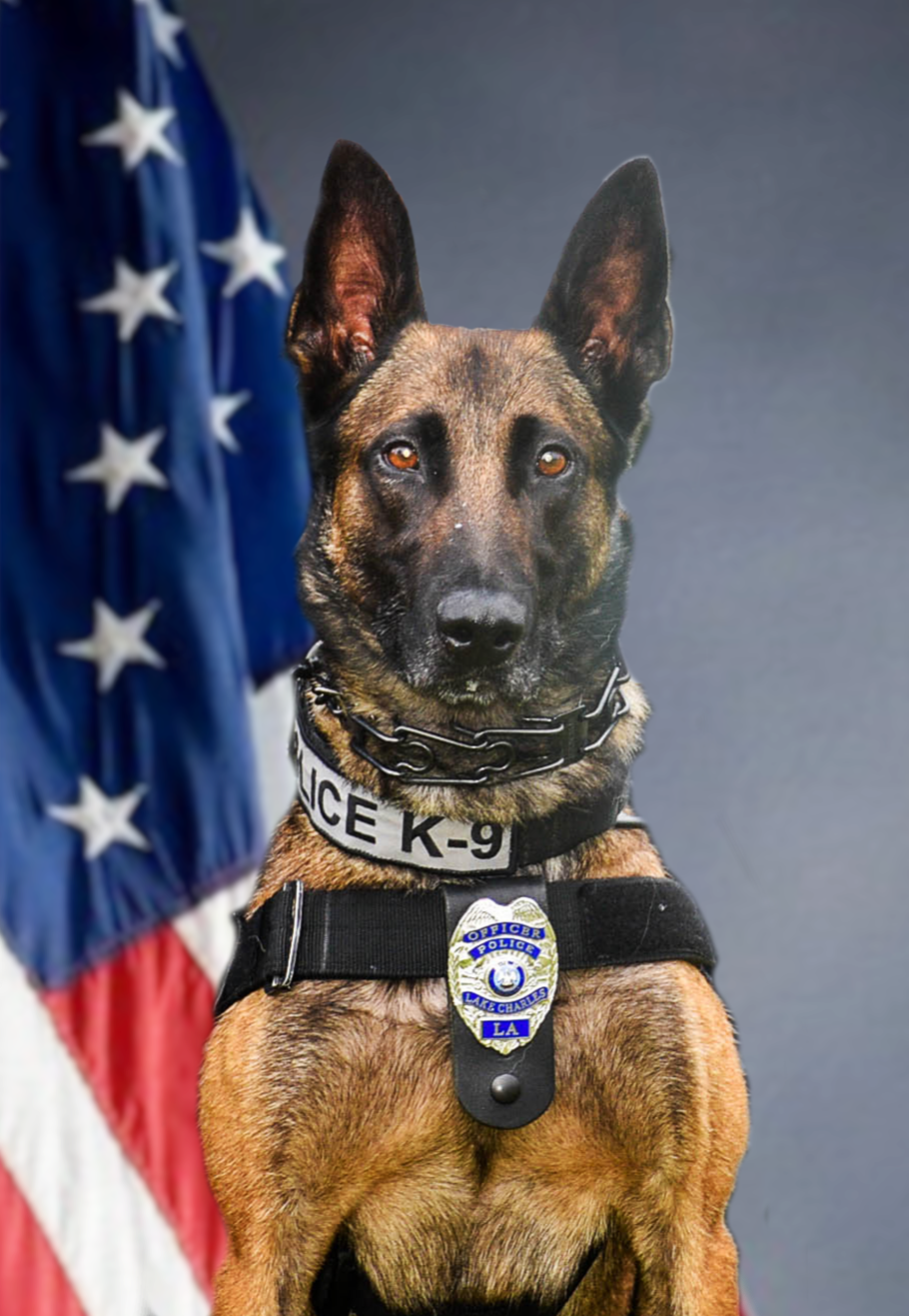 K9 Jocko End of Watch | Orange Leader