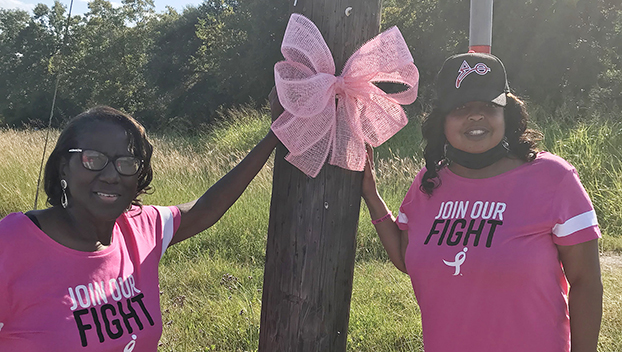 STEPHEN HEMELT — Pink Street Project brings breast cancer awareness to ...