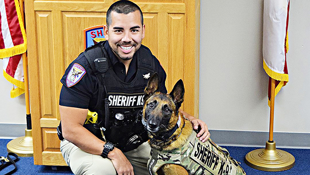 PHOTO FEATURE — Orange County Sheriff’s Office K9 Phoenix enjoys new ...