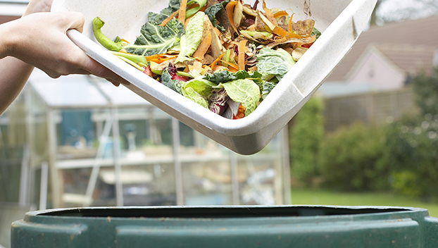 TEXAS MASTER GARDENER — Know the basics behind the art of composting | Orange Leader