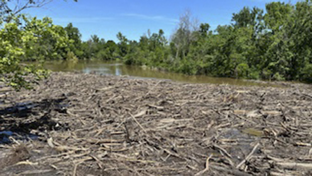 PHOTOS — Large debris on Sabine River causing concerns | Orange Leader