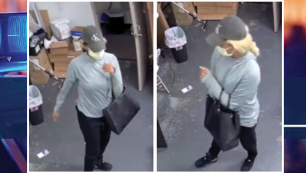 Something for everyone, everyday | Orange Leader